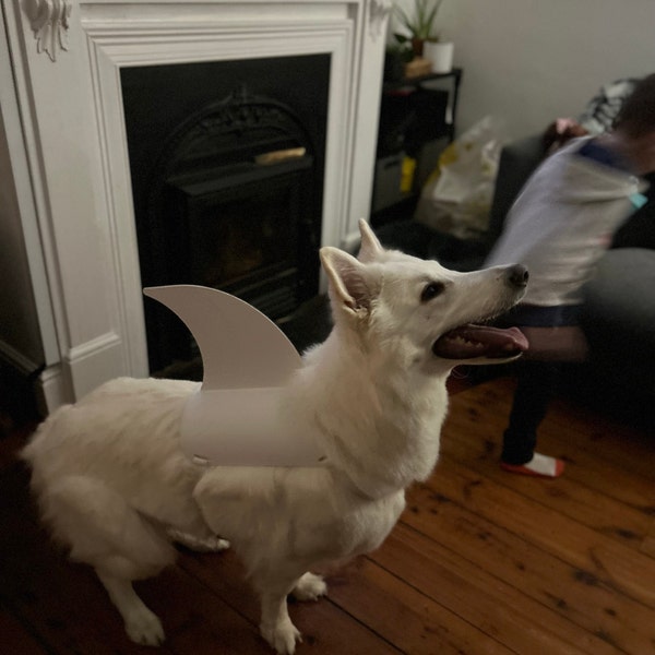 ORCA Fin for Your Large Dog. Killer Whale Fin for Your Large Dog - Etsy