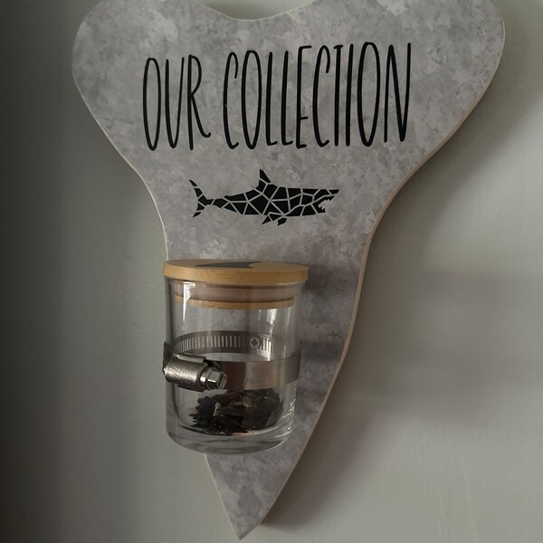 Glass Shark Tooth Shadow Display Box - Etsy