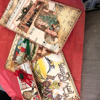 Unusual Vintage Insect Specimen Cards - Etsy