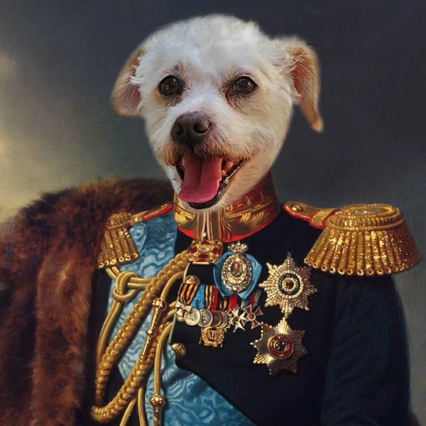 Custom Military Pet Portrait, Renaissance Pet Portrait, Classic Pet ...
