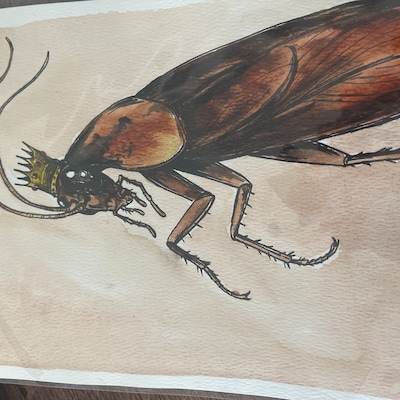 Cockroach King an Original Hand Painted Queen - Etsy