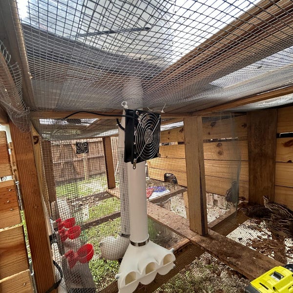 Feedflow Quail Feeder: Low Waste Gravity Feeding Ports - Etsy