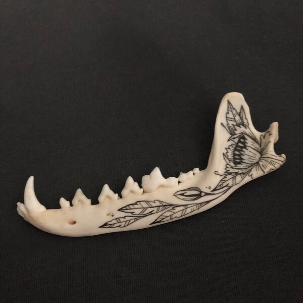 Painted Red Fox Jaw - Etsy