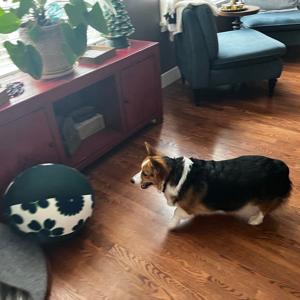 STRETCHY! Bugs and Snakes Balloon Cover Toy - Etsy