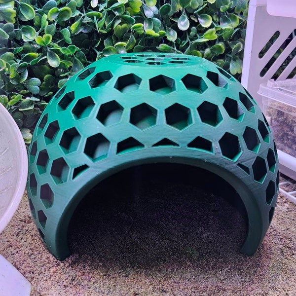 Aquarium Cave Half Tube Fish Tank Decoration, Axolotl Hide, Kuhli Loach ...