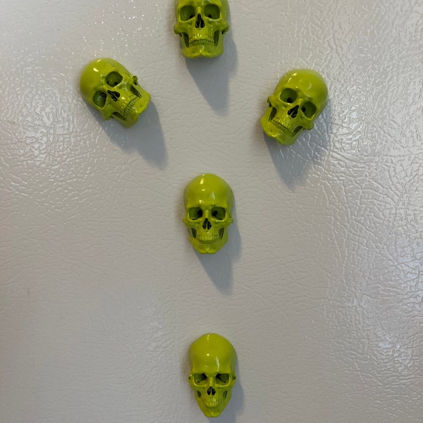 5 Piece Human Skull Magnets - Etsy