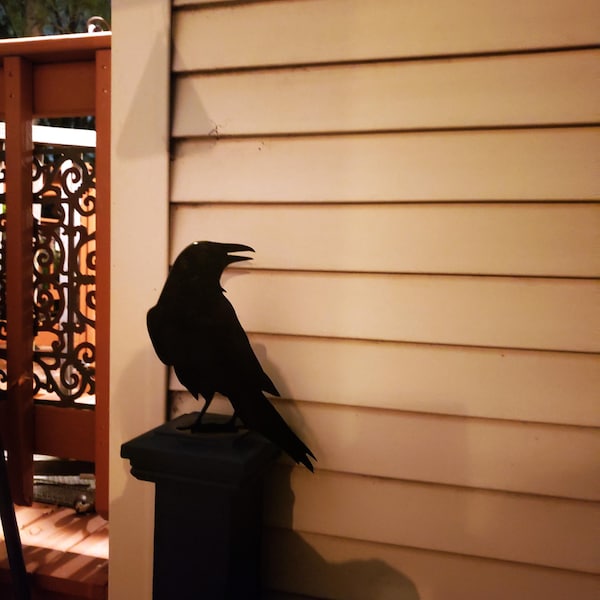 Raven Crow Metal Yard Art - Free Shipping - Great Gift - AA - Etsy