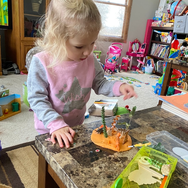 Animal Play Dough Kit, Zoo Play Dough Kit, Safari Animals Play Dough ...