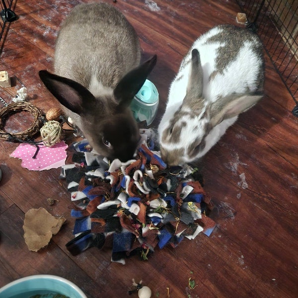 Seagrass Enrichmat™ | Snuffle Mat | Foraging & Enrichment Mat | Well ...