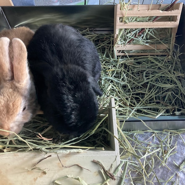 Stainless Steel Scatterless Litter Pan Box With Guard Small Pets Rabbit ...