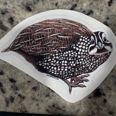 Roadrunner and Globe Mallow Art Print Sonoran Desert Flora - Etsy