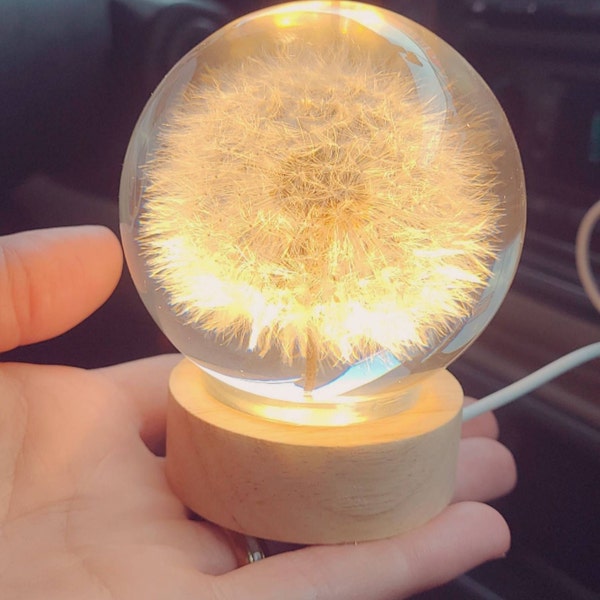 Dandelion Night Light, Real Dandelion Puff Paperweight, Flower Epoxy ...