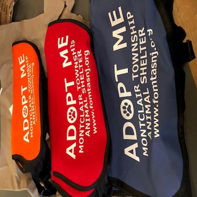 5-pack Adopt Me Dog Jackets Vests With GROUP NAME or WEBSITE - Etsy
