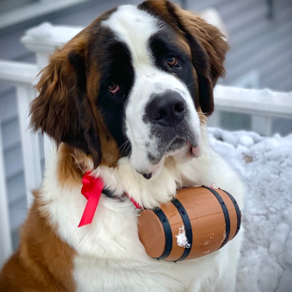 St. Bernard Barrel - Etsy