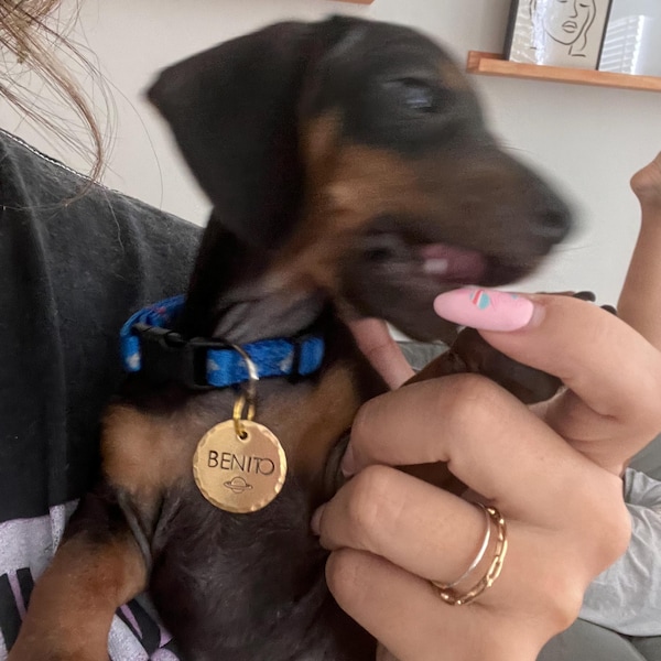 Simple Custom Hand Stamped Dog Tag, Dog Tags for Dogs, Pet Id Tag ...