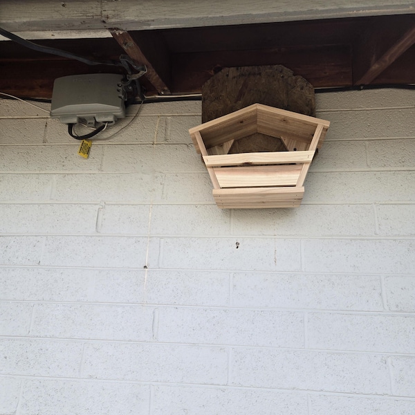 Extra Large Squirrel House, Squirrel House, Cedar Squirrel House ...