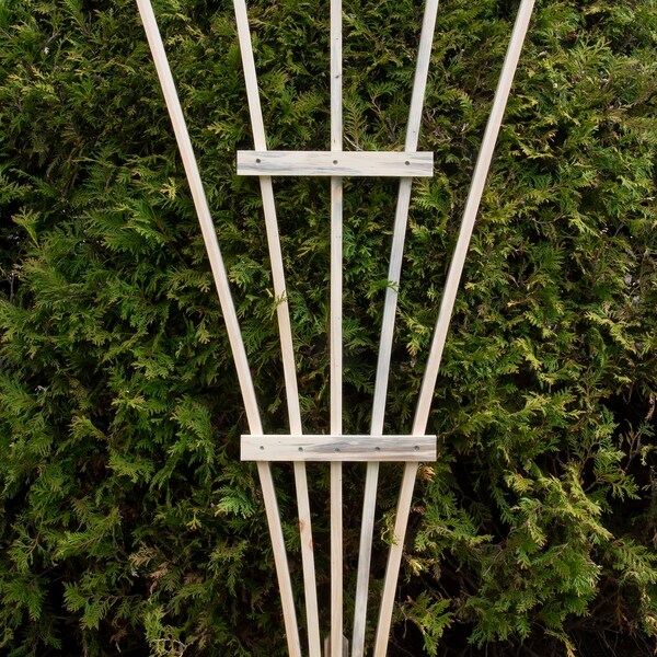Garden Fan Trellis and Obelisk Plan Bundle / Garden Fan Trellis ...