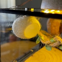 Betta/jumping Spider Tube Hide Aquarium Decor/enclosure Decor - Etsy Canada