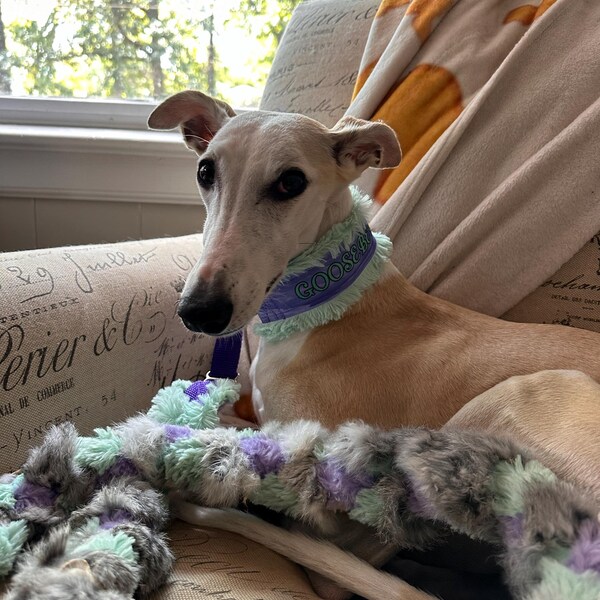 Custom Ribbon Display, Dog Award Ribbon Display Rack, Dog Rosette ...