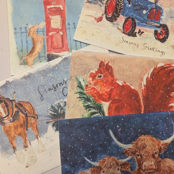 Poppys, Bees & Wildflowers Plantable Seed Card/ Seed Card Birthday Card ...