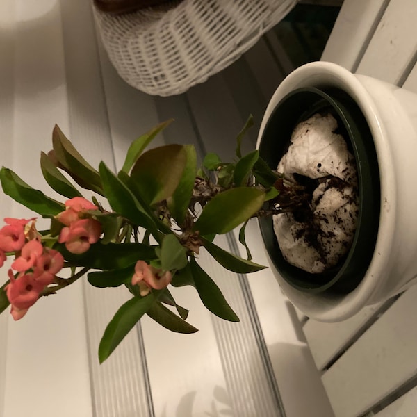 Men's Jacket // Vintage Jacket // STP Oil Retro Jacket // Kingsroad STP ...