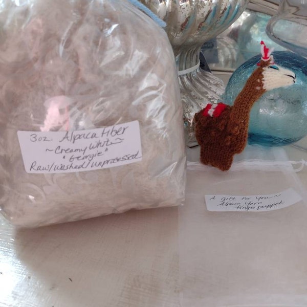 Large Handfelted Red Poppy Brooch ~ All Natural Materials ~ Beautiful ...