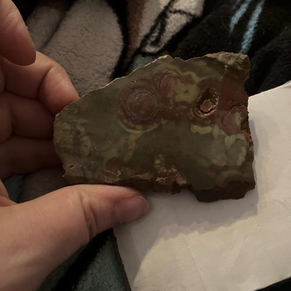 WINGATE PASS AGATE (super Rare Very Old Stock) - Etsy