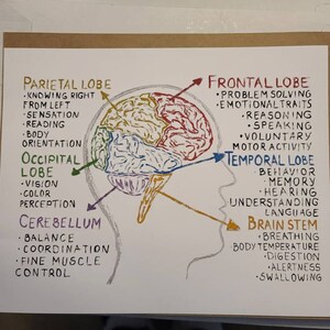 Problem Solving Flow Chart Funny Poster Co Worker Gift Break - Etsy