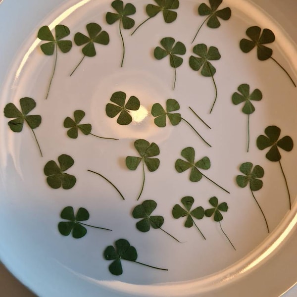 20pcs Pressed Dried Flowers Four-leaf Clover Plants Epoxy Resin Filling ...