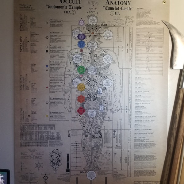 Occult Anatomy 2020 - Large Occult Poster (24x36), Occult Illustration ...