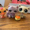 Littlest Pet Shop Custom LPS on Authentic Figure Ooak Punk Alligator - Etsy