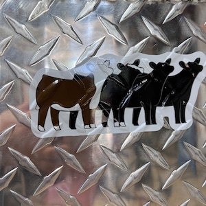 Red Angus Show Heifer Die-cut Sticker Livestock Sticker Show Livestock ...
