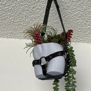 Booty Planter and Boob Hanging Planter With Harness - Etsy