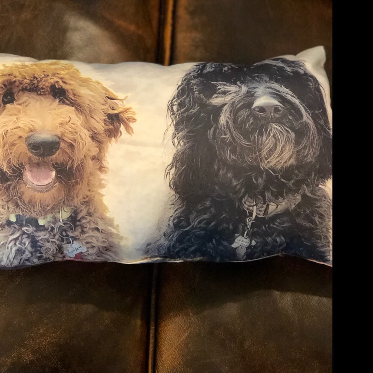 Customized Smush Face Pillow (Your Kids, Or Husbands, or Wifes or Pets ...