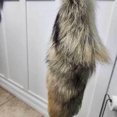 Coyote Pelt Fur Mantle With Black Deerskin - Etsy