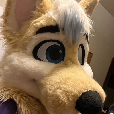 Fursuit Cat Nose Pattern & Tutorial Pickable Plush Feline Snout W ...