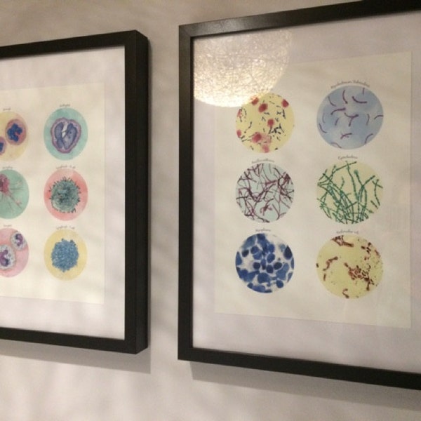 Bacteria Science Art Poster Science Print Wall Decor, Microbiology ...