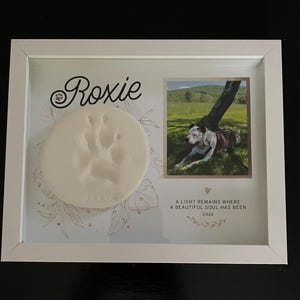 Pet Memorial Paw Print Harness Holder Shadow Box, Pet Loss Frame, Clay ...