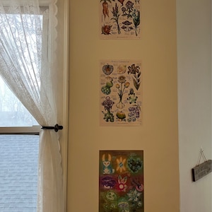 Hyrule Compendium Breath of the Wild Tears of the Kingdom Botanical ...