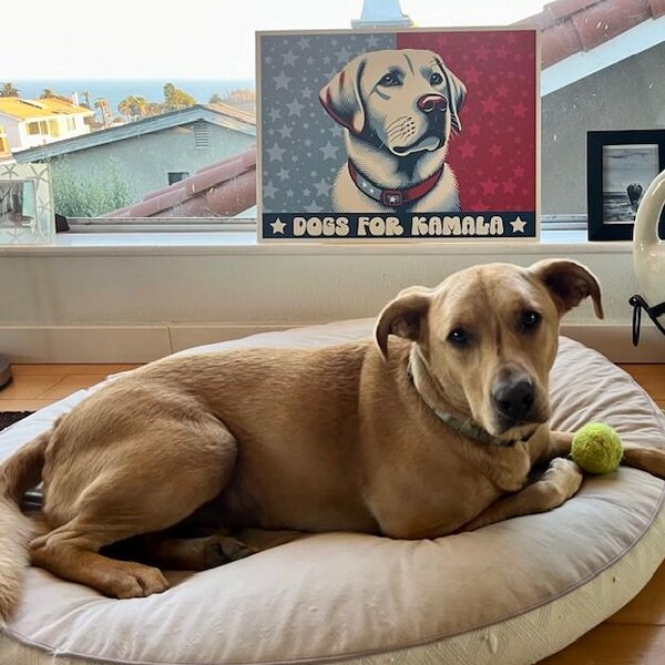 Dogs for Harris-walz Yard Sign, Cute Patriotic Dog Lovers Voting for ...