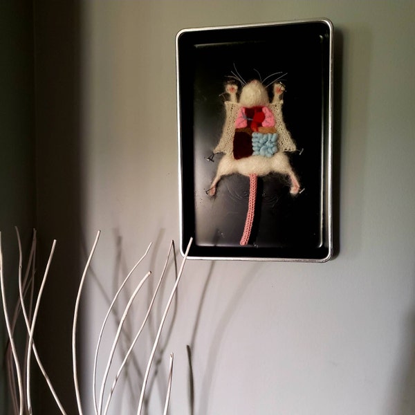 Knitted Dissected Bat Specimen - Etsy