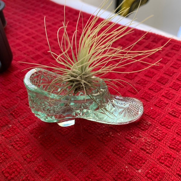 Vintage Jadeite Fire King june Ray Two Handled Ribbed Sugar Bowl With ...