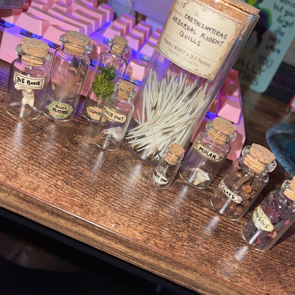 Mystery Specimens, Curiosity Set, Taxidermy, Entomology, Mystery ...