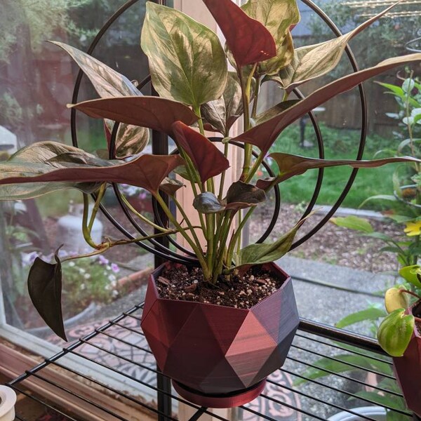 Two-tone Helix Planter Modern Geometric Decor for Home & Office Unique ...