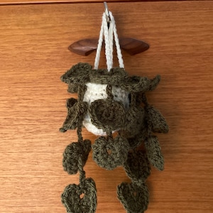 Crochet Car Plant Pothos PATTERN ONLY Pamelambie Tiktok - Etsy
