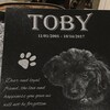 12x12 Personalized Pet Headstone, Bunny Rabbit Tombstone Laser Engraved ...