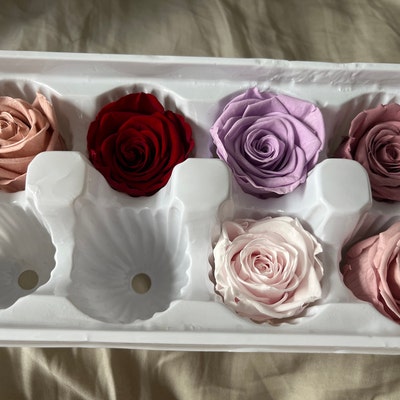 Eternal Roses/ Preserved Roses/preserved Flowers/eternal Flower/eternal ...
