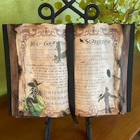 The Grand High Witch Formula 86 Delayed Action Mouse-maker Spell Book ...