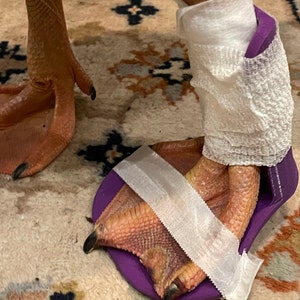 Pet Bird Splints and Spacers for Small Avian Pets Such as Parakeets - Etsy