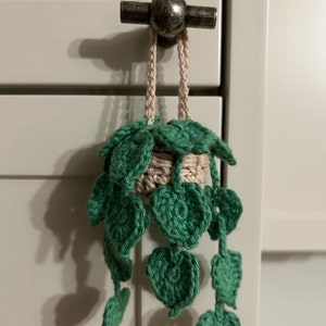 Crochet Car Plant Pothos PATTERN ONLY Pamelambie Tiktok - Etsy